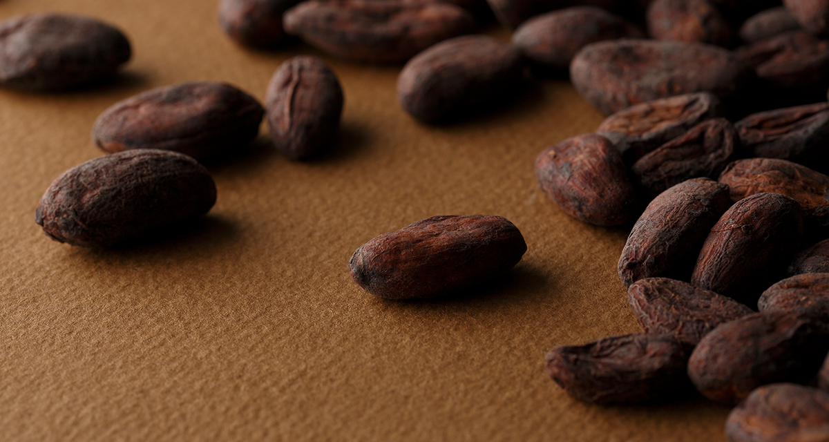 カカオポリフェノールの効果とは？ - VANILLABEANS公式コラム CACAO NOTE