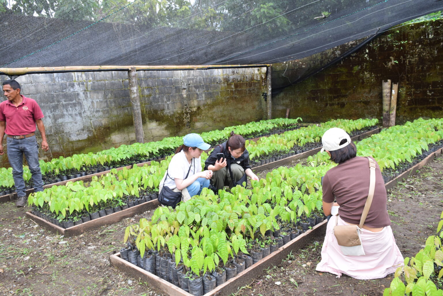 農園支援プロジェクトReport.3 エクアドルの先住民組合「WINAK」を訪問！ - VANILLABEANS公式コラム CACAO NOTE